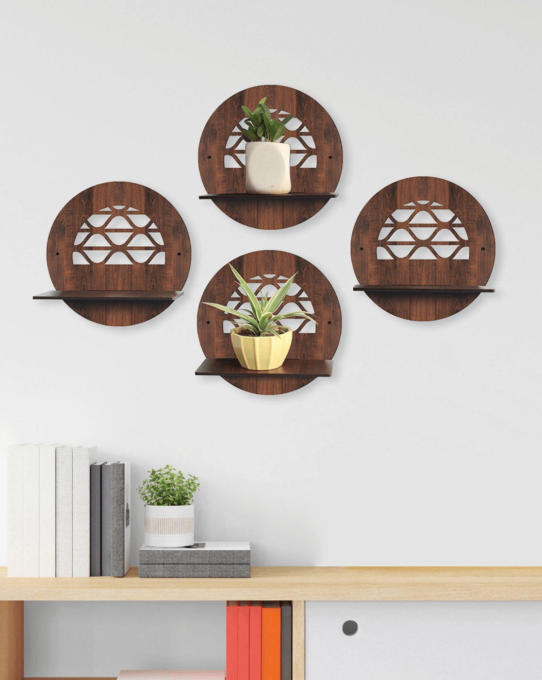 Set of 4 Random Round Wall Hanging Laminated MDF Plants(S8 ...